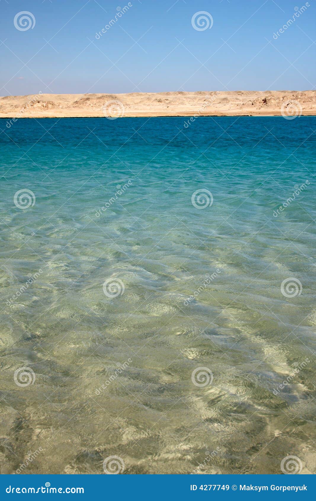 Cool Clear Water of Red Sea in Egypt Stock Image - Image of coast ...
