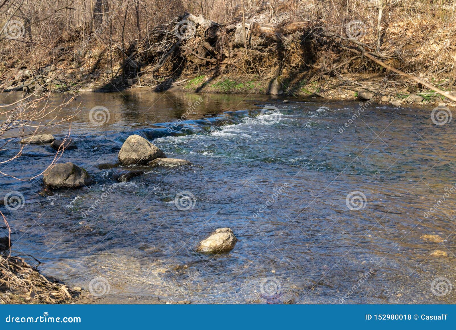 Cool Clear Water Running Down a Small River in Upstate New York Stock ...