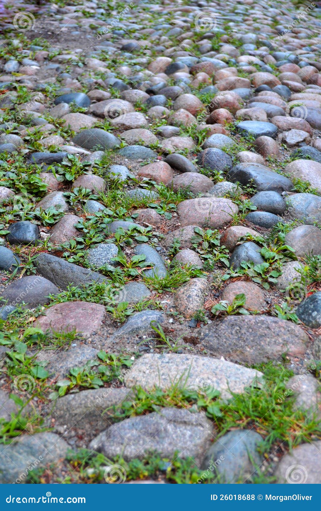 Colored Cobblestone Wall Texture. Stock Image | CartoonDealer.com ...