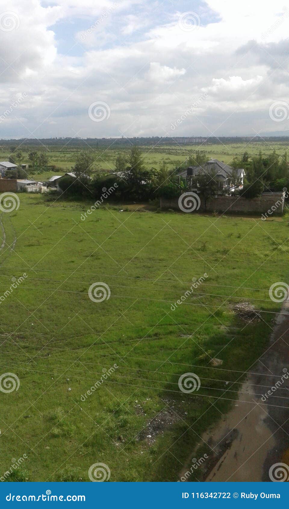 Cool environment stock photo. Image of environment, cool - 116342722