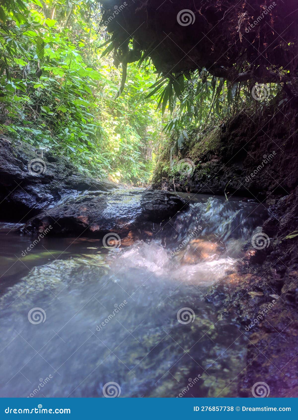 The Flow of Clear and Very Cool River Water in the Bogor Area, West ...