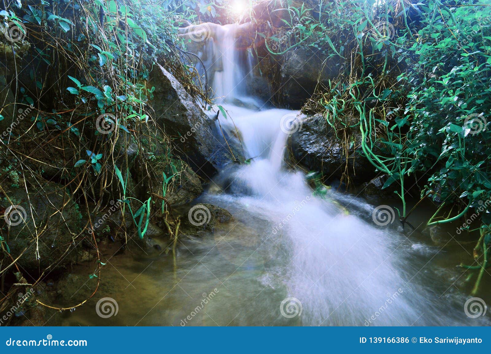 Cool and Fresh Waterfall Views in the Forest Stock Photo - Image of ...