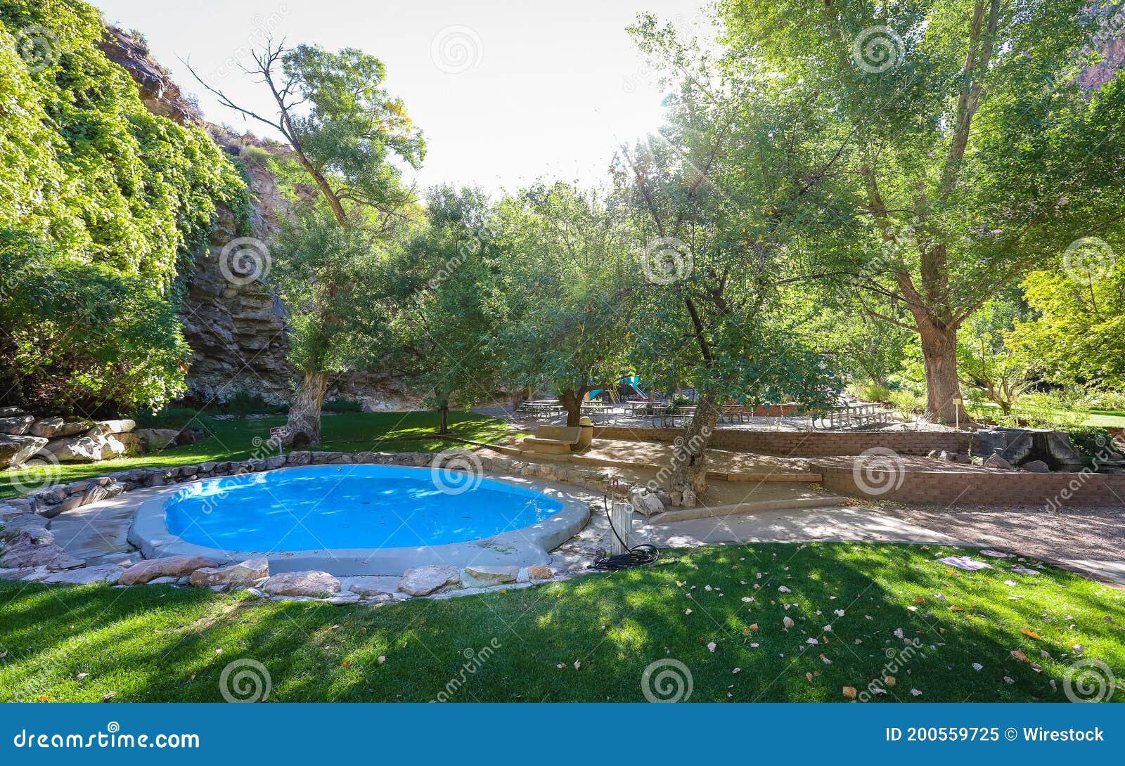 Spring-fed Pool at Kershaw-Ryan State Park Editorial Image - Image of ...