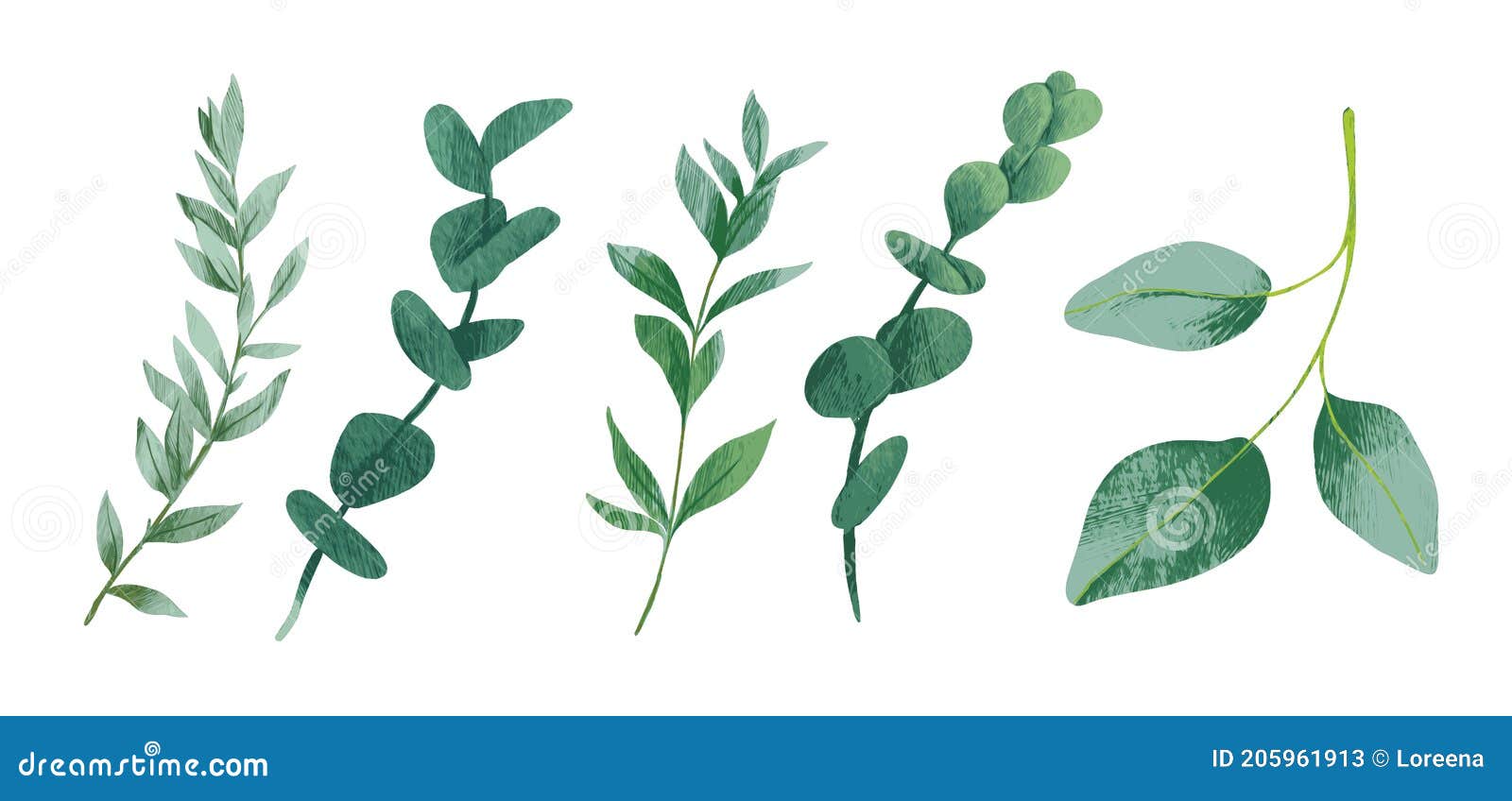 Cool Greenery Elements Collection with Five Leaves Stock Vector ...