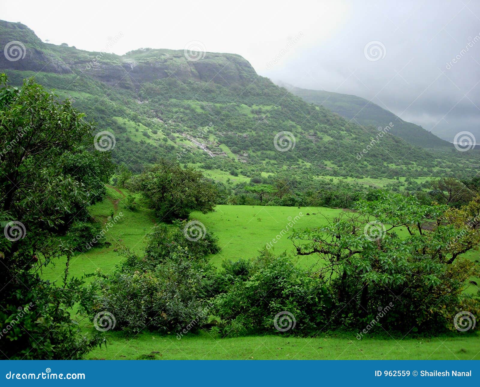 Cool Greenscape stock image. Image of color, nature, impressive - 962559