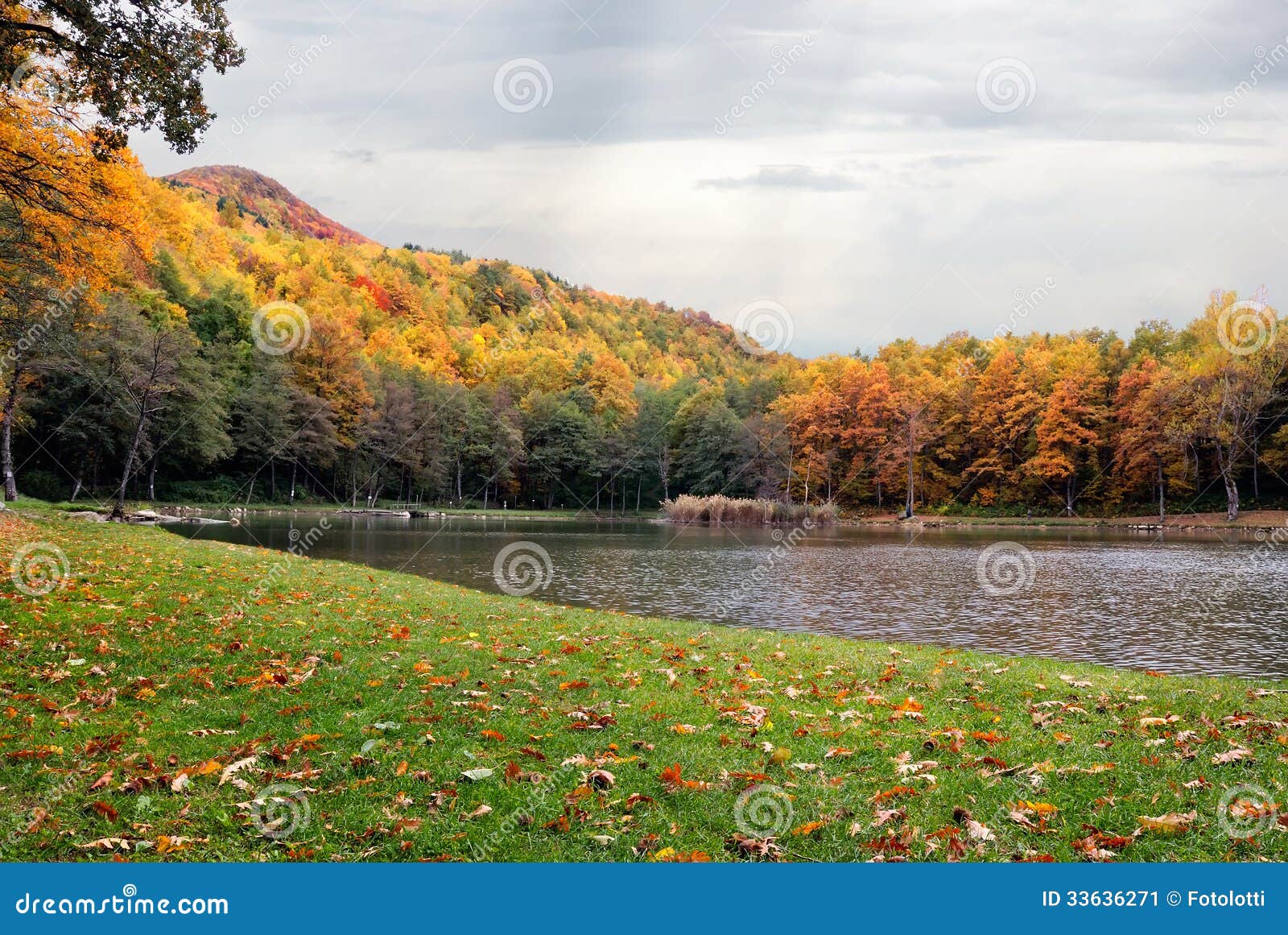 Cool Lake in the Natural Reserve Stock Image - Image of beautiful ...