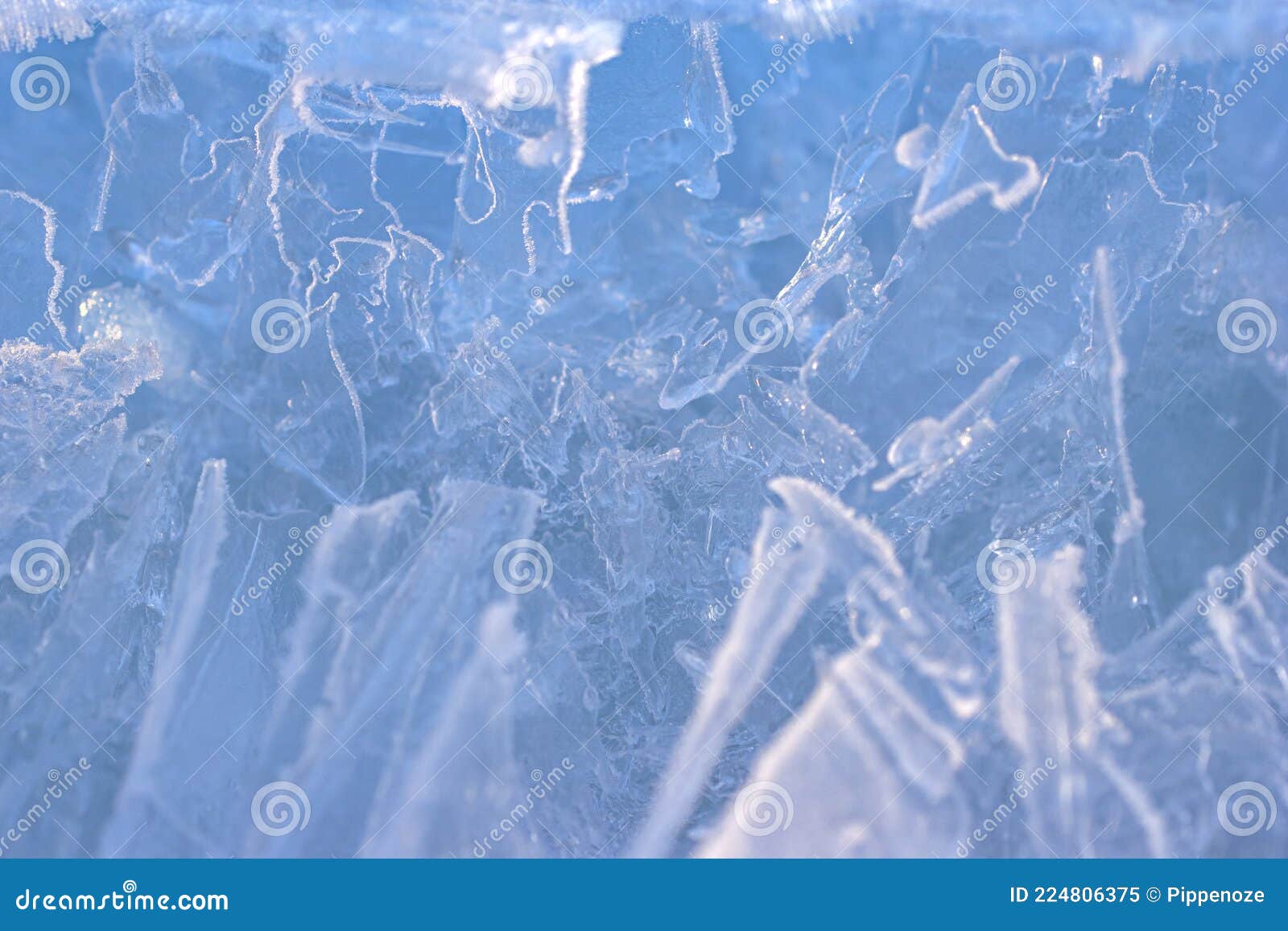 Cool Light Blue Background of Frozen Ice Crystals Stock Image - Image ...