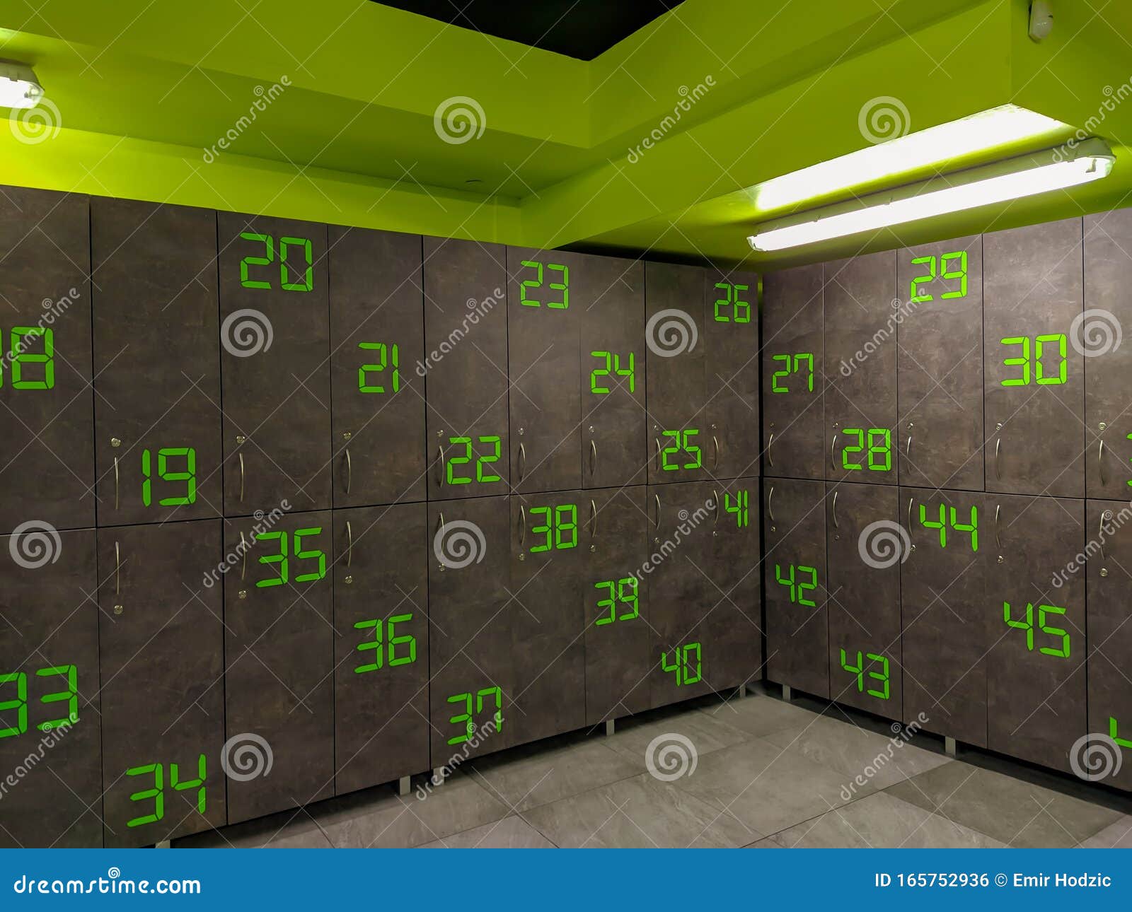 Cool and Modern Style in Green and Grey Colors Locker Room or Changing ...