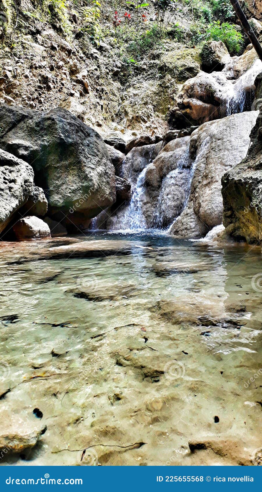 Cool natural spring stock photo. Image of spring, nature - 225655568