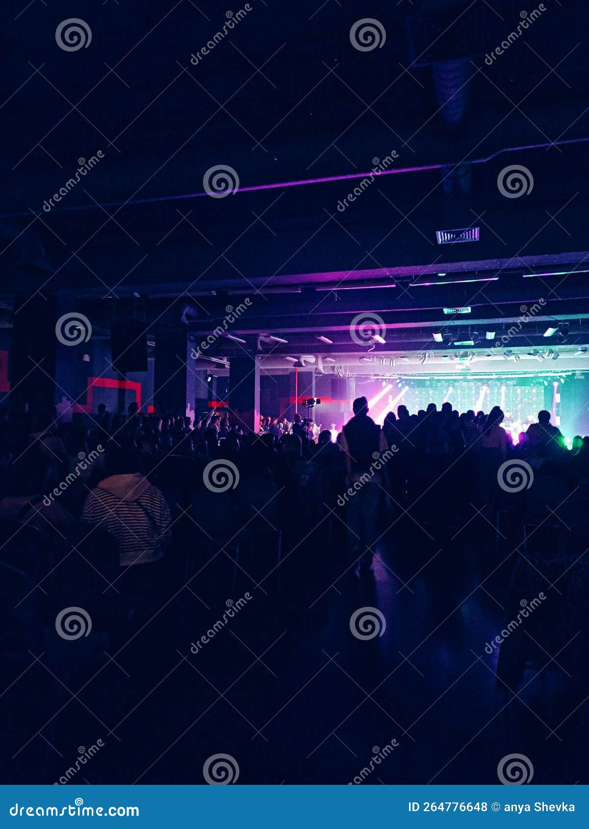 Cool Party ðŸ˜» stock photo. Image of party, good, disko - 264776648