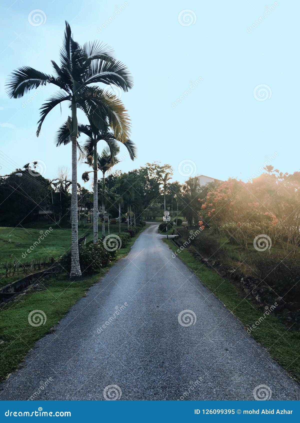Cool Path stock image. Image of long, straight, road - 126099395