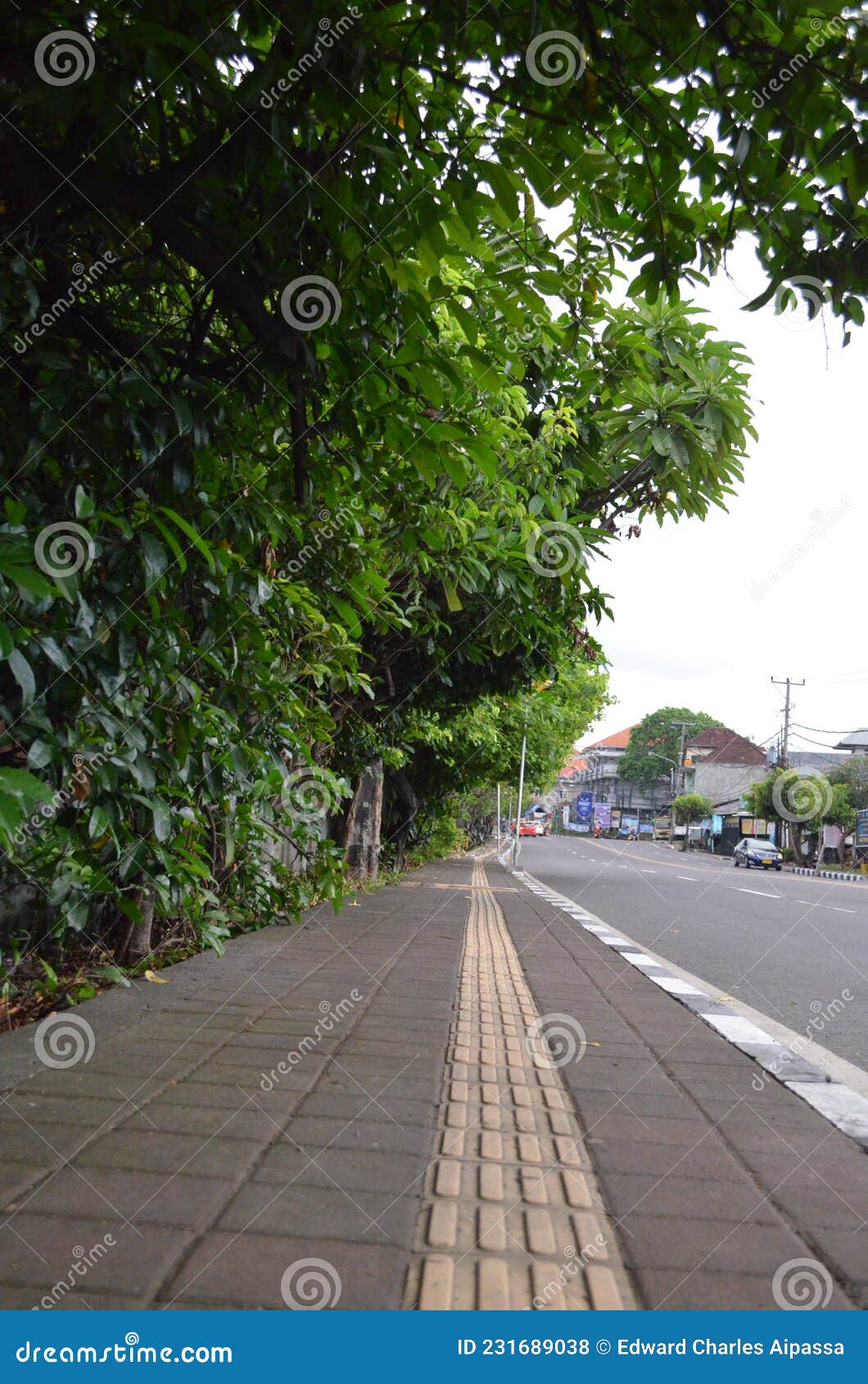 Cool pavement stock photo. Image of pavement, green - 231689038