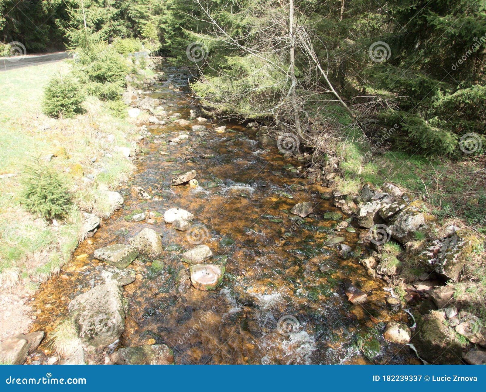 Pure Water Stream in the Forest Stock Image - Image of cataratas ...
