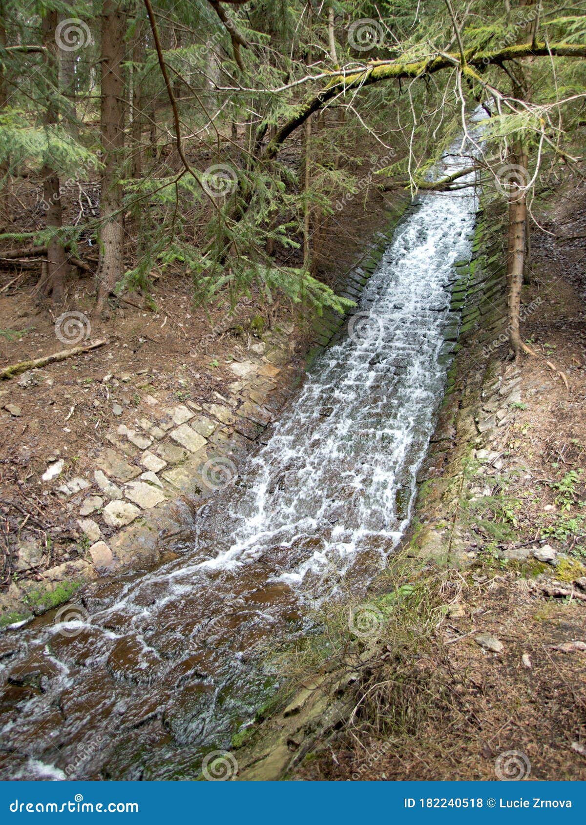 Pure Water Stream in the Forest Stock Photo - Image of beautiful ...