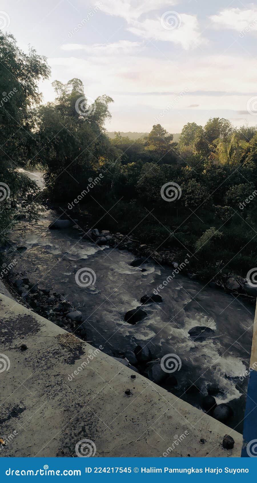 Cool river stock image. Image of cool, autumn, landscape - 224217545