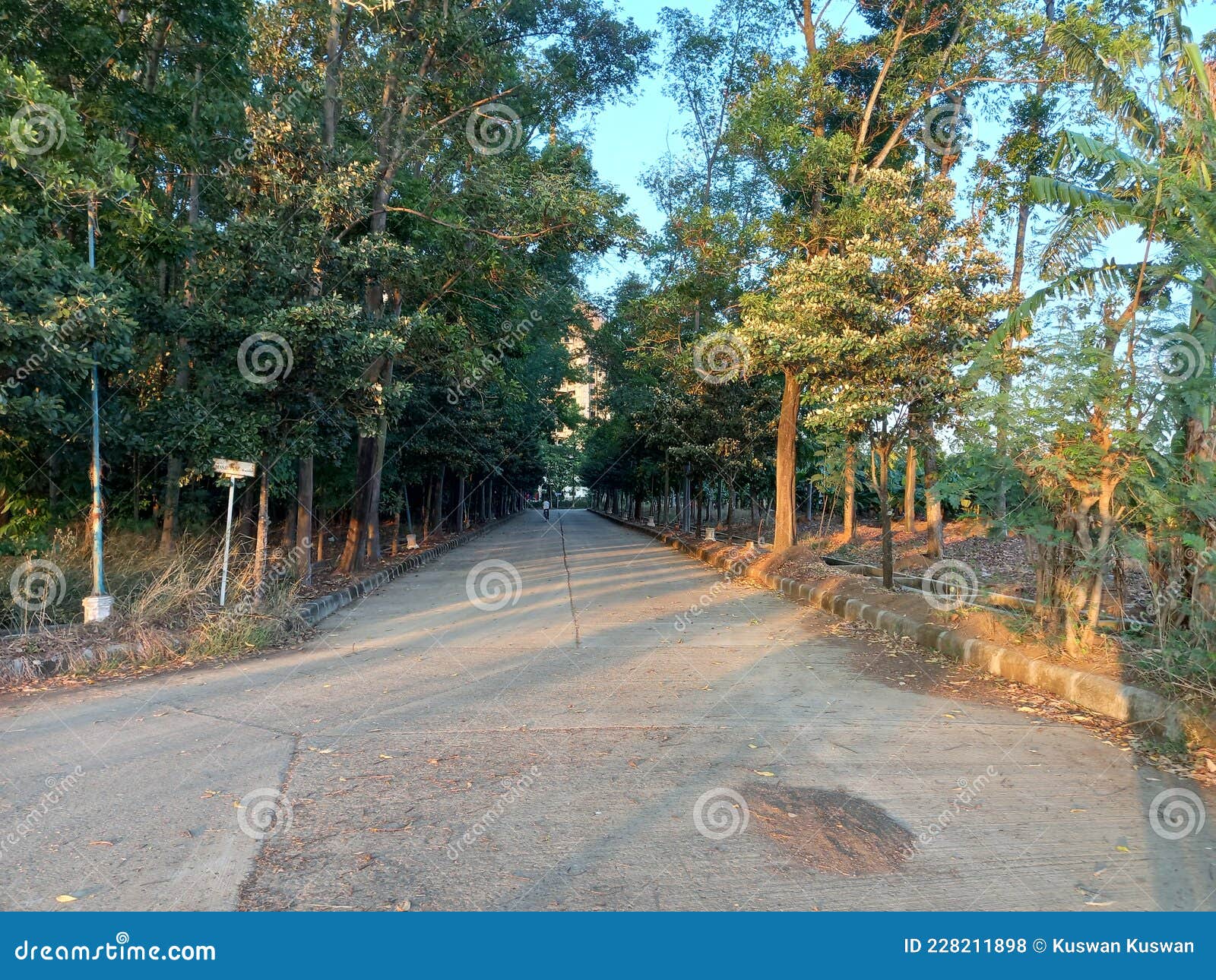 Cool road in morning stock photo. Image of aerial, morning - 228211898