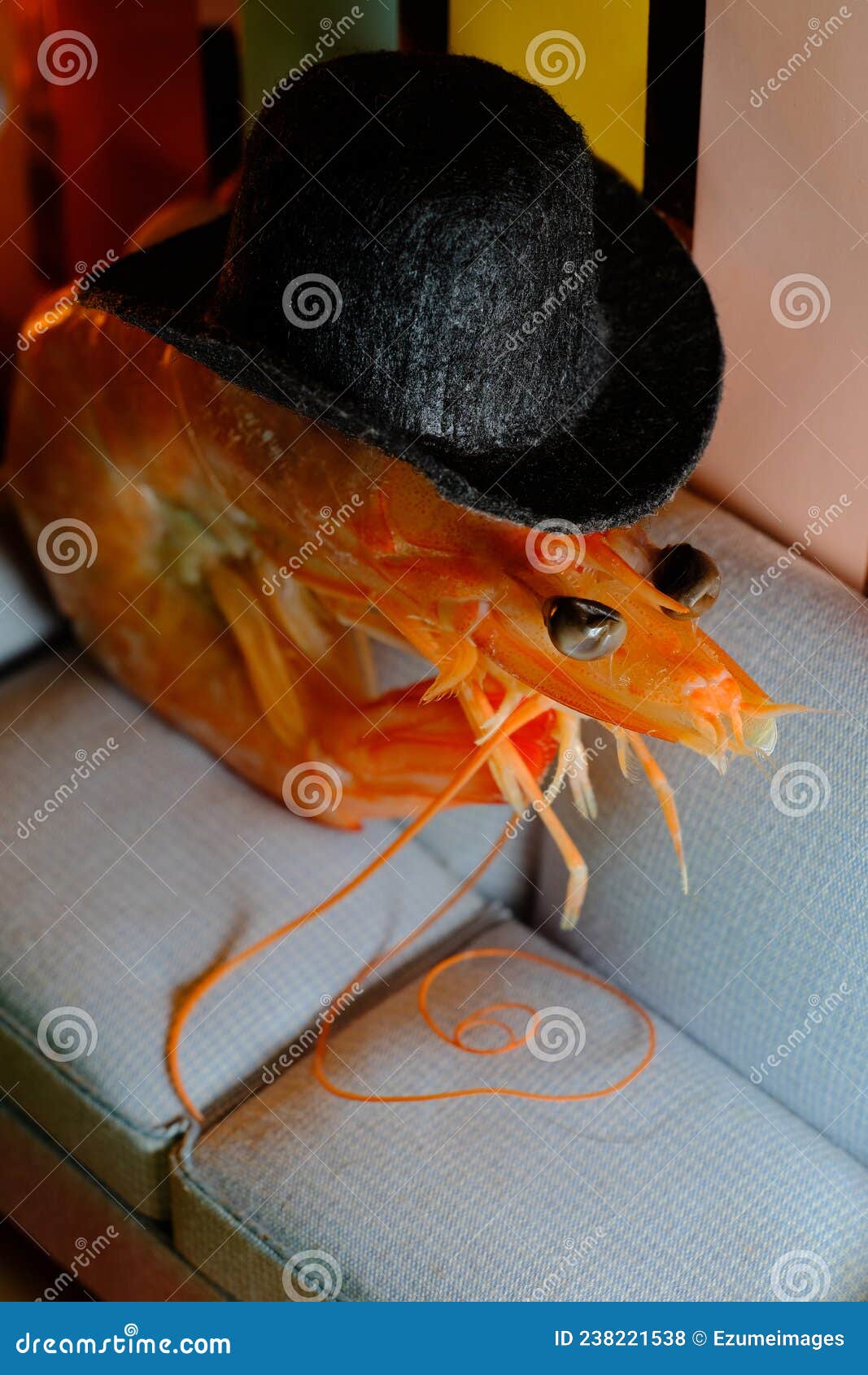 Cool Shrimp Top Hat stock photo. Image of culinary, food - 238221538