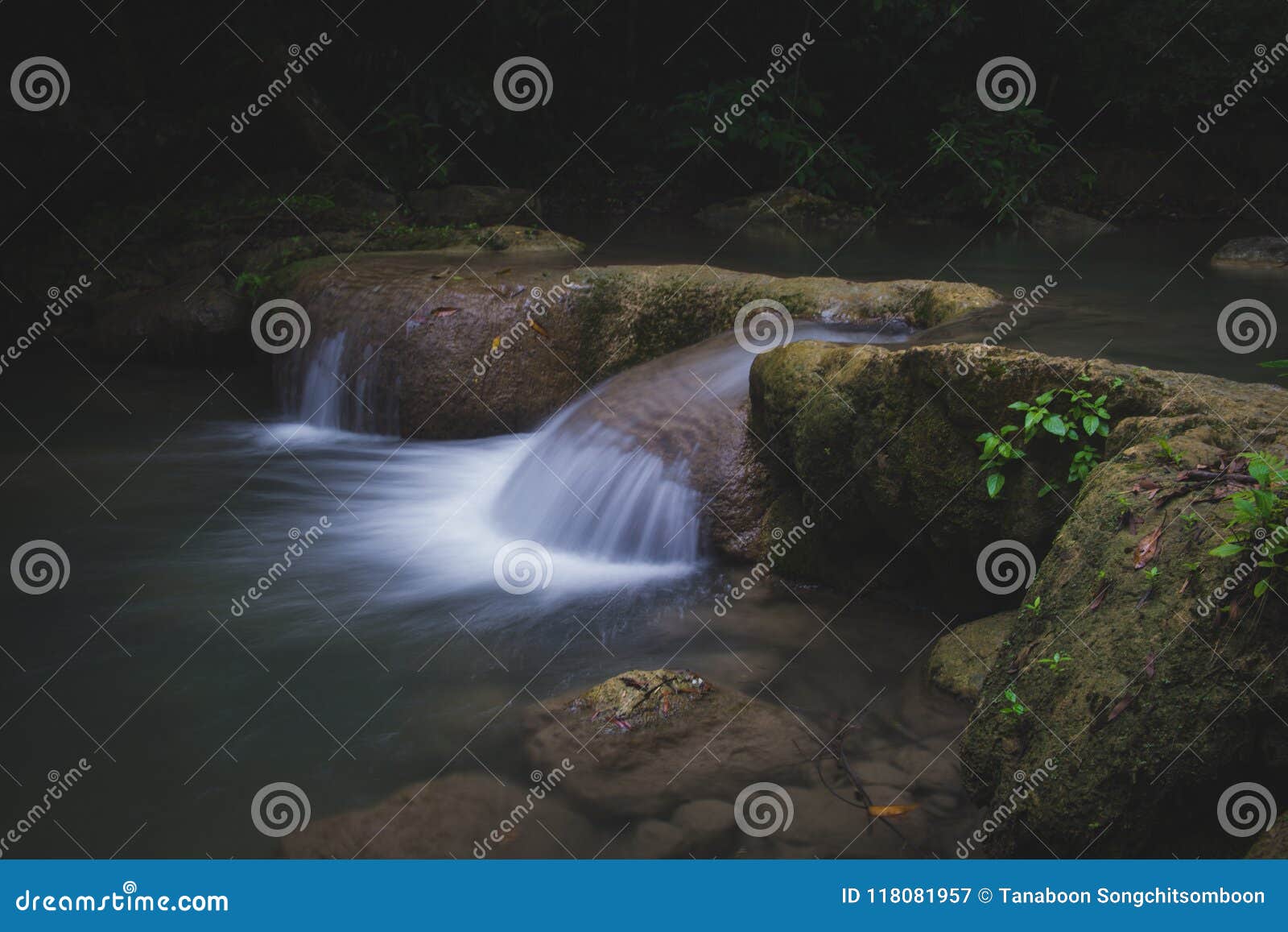 Cool stream stock image. Image of soft, nature, stream - 118081957