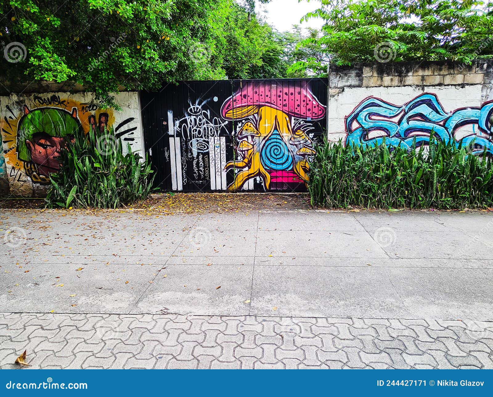 Cool Street Art Of Mushroom Editorial Photo | CartoonDealer.com #244427171