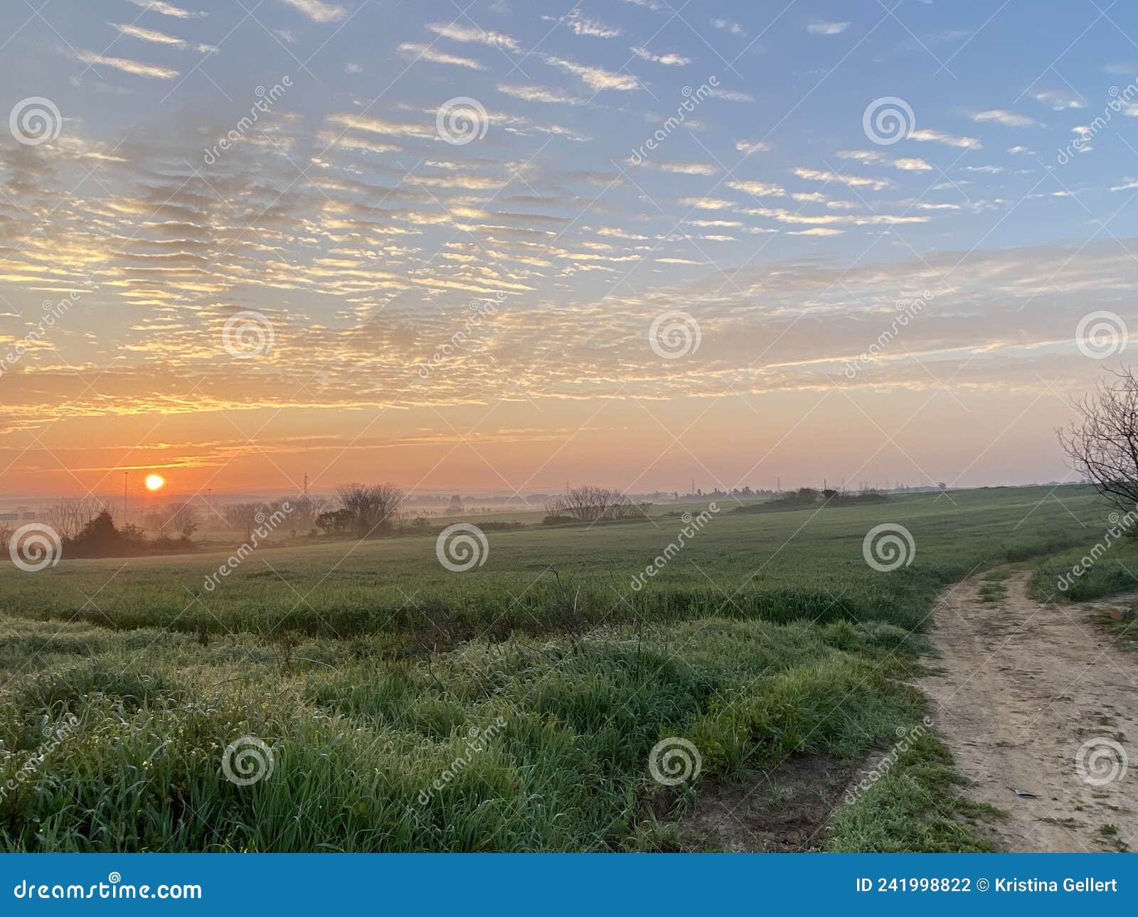 Cool Sunshine in the Nature Stock Photo - Image of agriculture, sunset ...