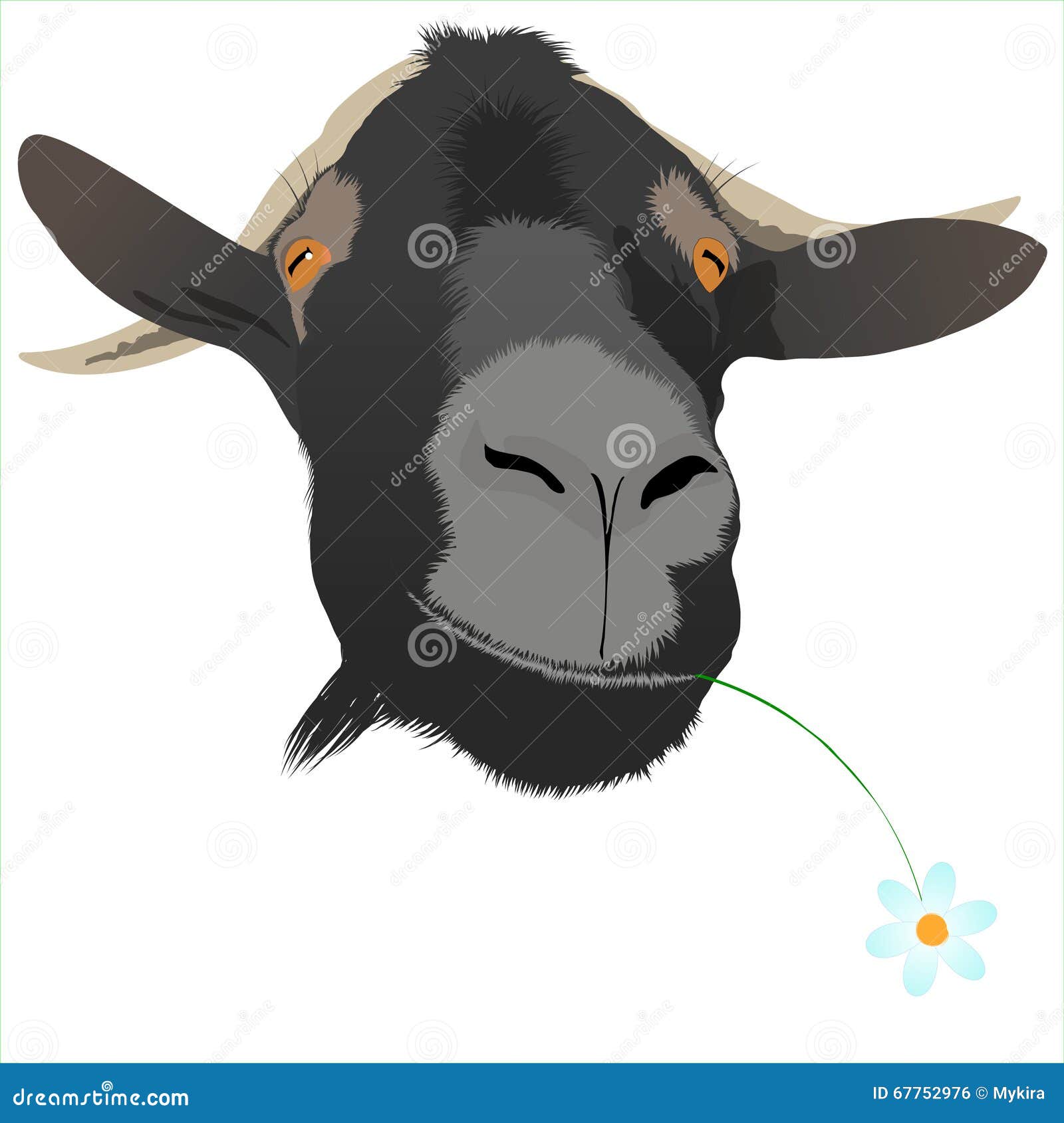 Cool Vector Goat with Flower Stock Vector - Illustration of smiling ...