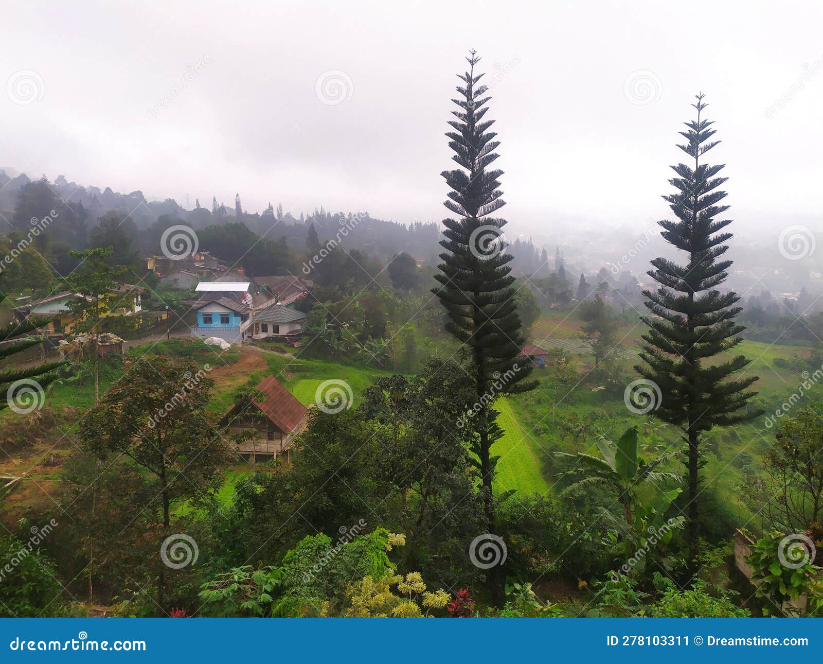 Cool View in the City of Bogor Stock Image - Image of bogor, city ...