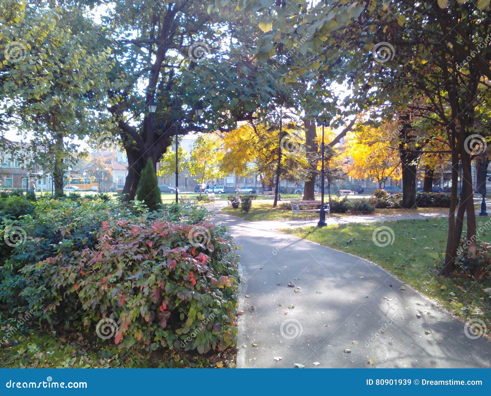 Cool view in a park stock image. Image of view, path - 80901939