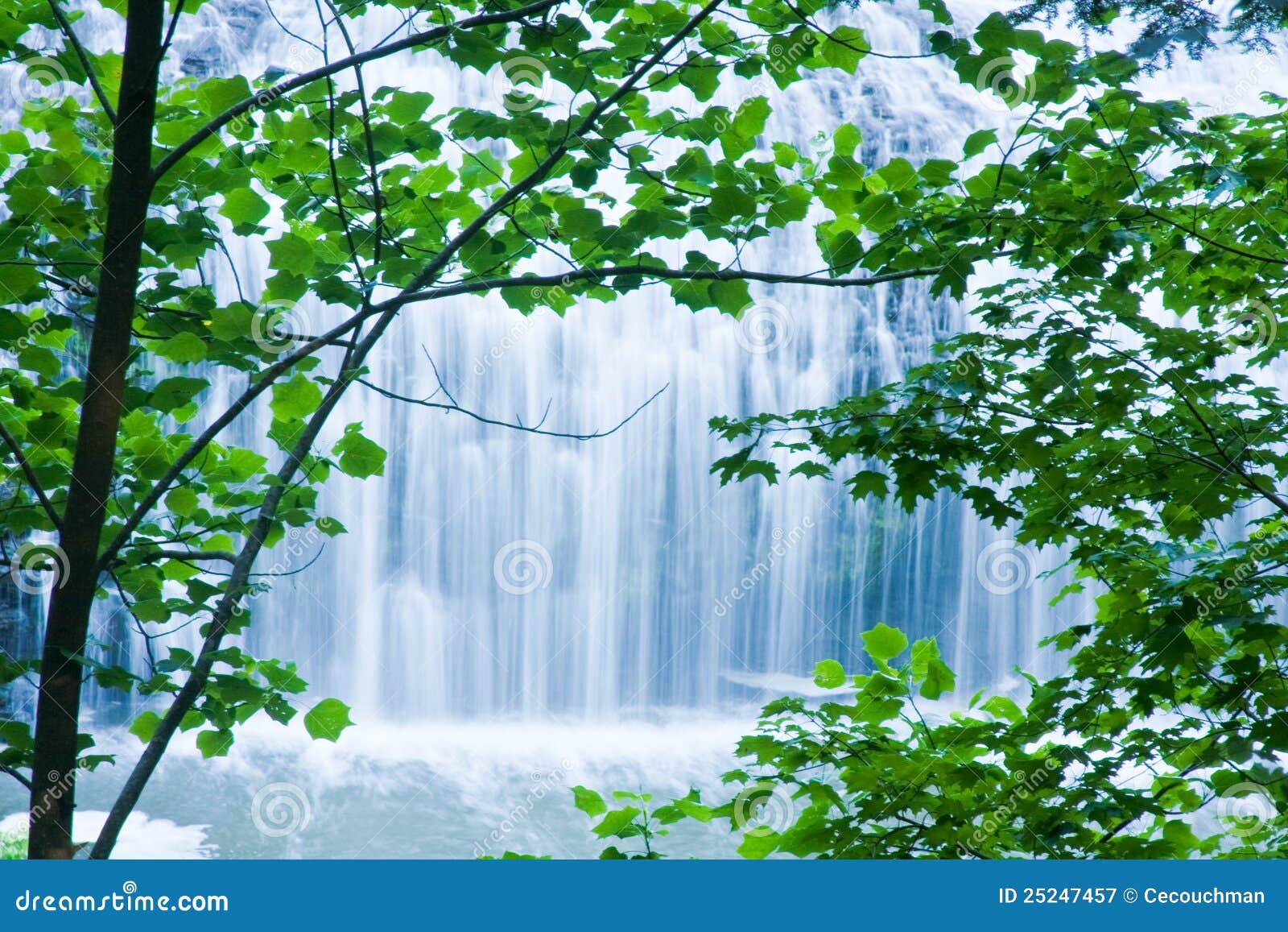 Cool Waterfall Viewed through Trees Stock Image - Image of gray, timed ...