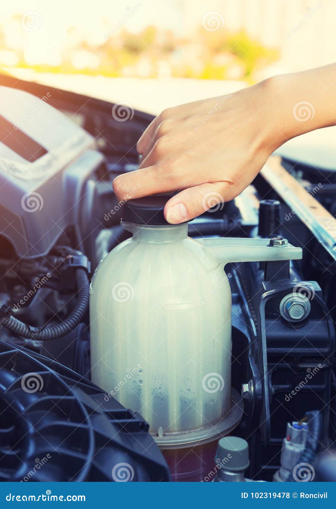 Coolant car check stock photo. Image of hand, engine - 102319478
