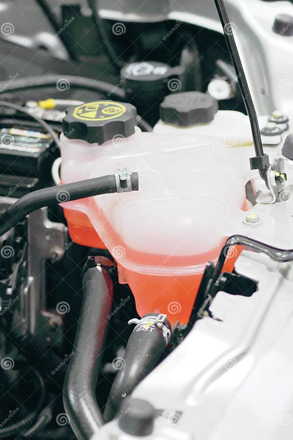 Coolant Container in a Car S Stock Image - Image of fluid, engine: 30799685
