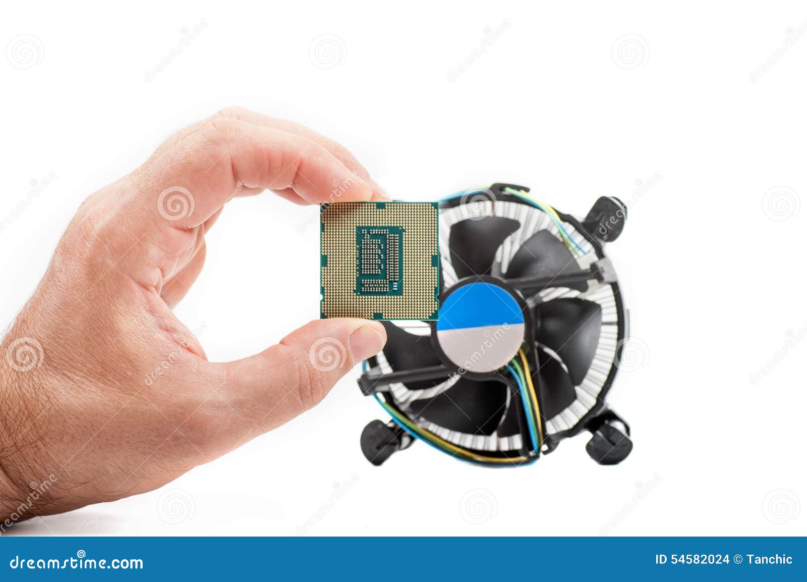 Cooler and the CPU Isolation Stock Photo - Image of processor, cold ...