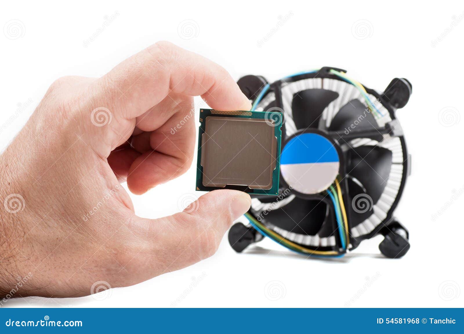 Cooler and the CPU Isolation Stock Photo - Image of closeup, processor ...