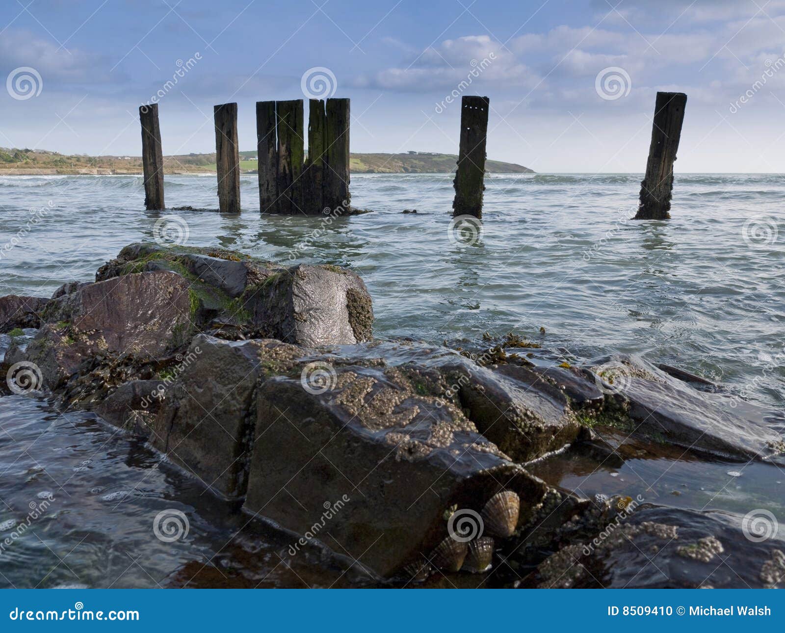 Coolmain Photos - Free & Royalty-Free Stock Photos from Dreamstime