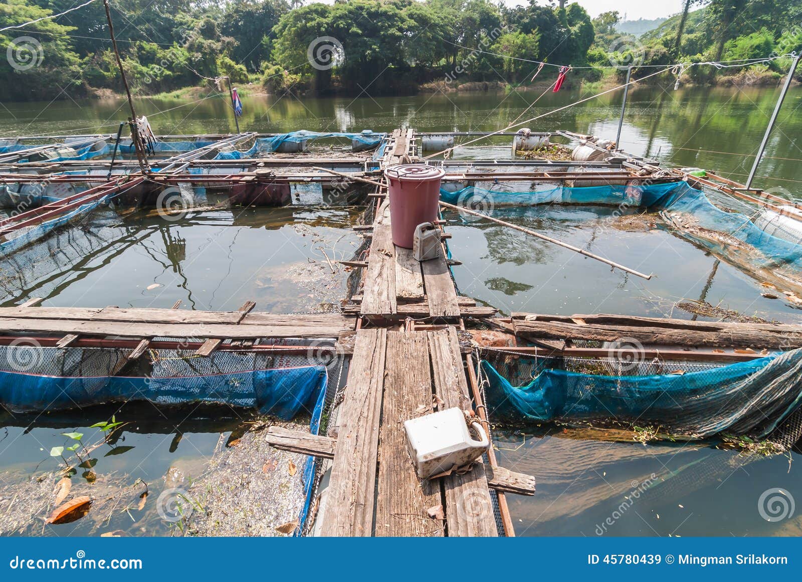 The Coop for Fish Farm in River Stock Image - Image of life, fishery ...