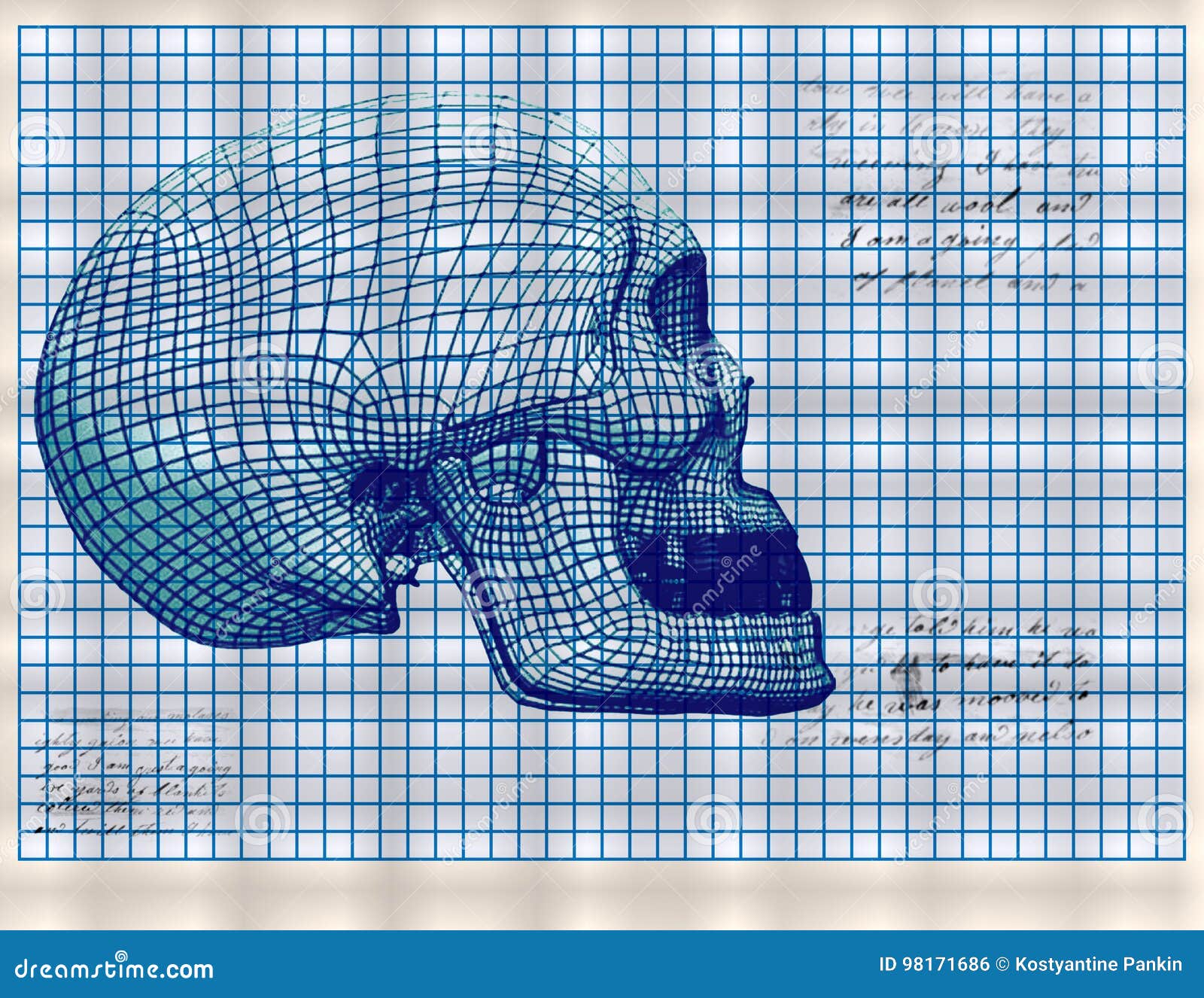 Coordinate Grid with Human Skull Stock Illustration - Illustration of ...