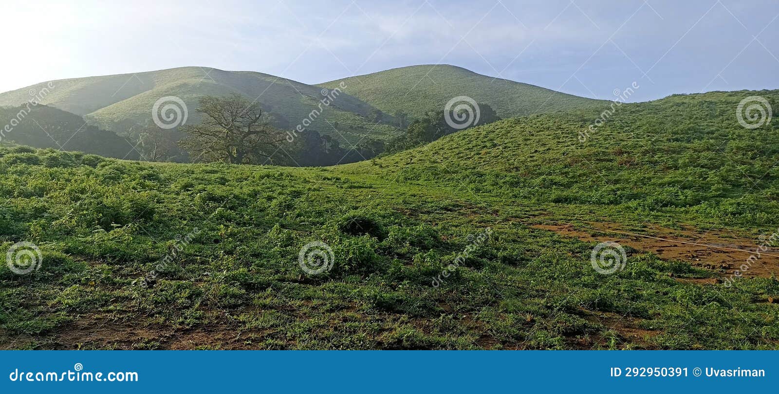 Coorg View Point on Mandalpatti Peak Stock Image - Image of point, view ...