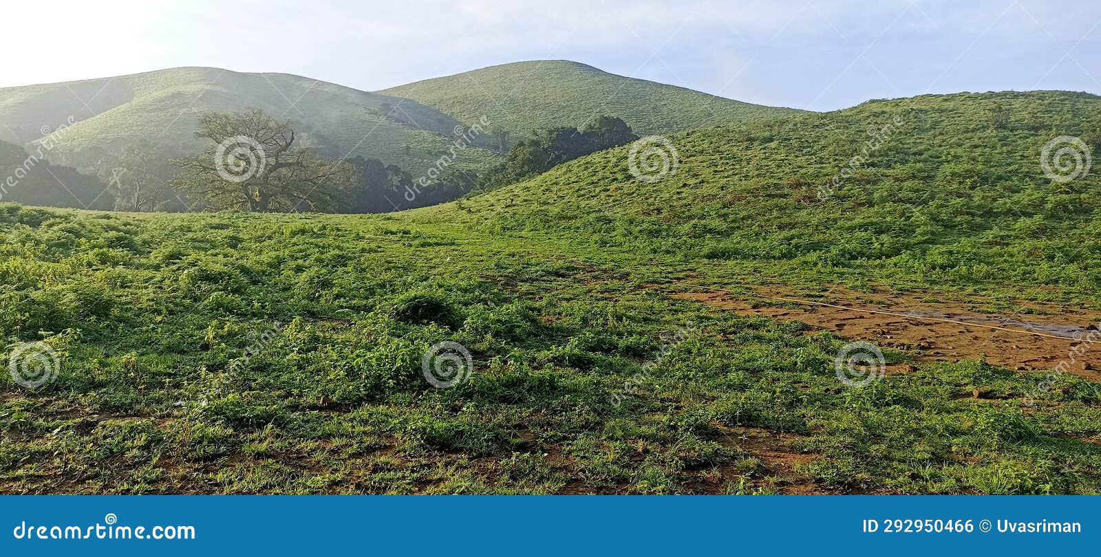 Coorg View Point on Mandalpatti Peak Stock Photo - Image of view, coorg ...