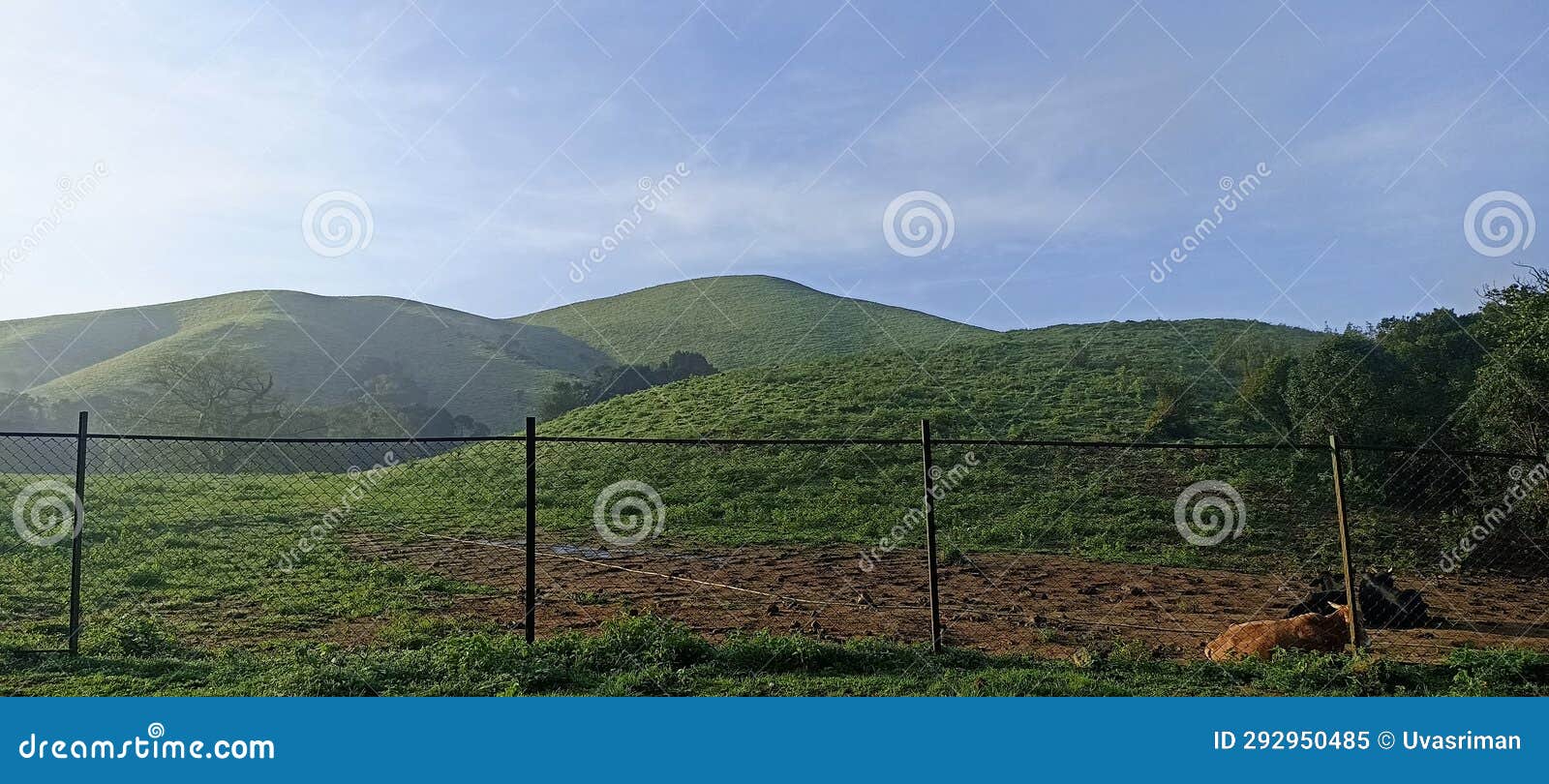Coorg View Point on Mandalpatti Peak Stock Image - Image of coorg ...