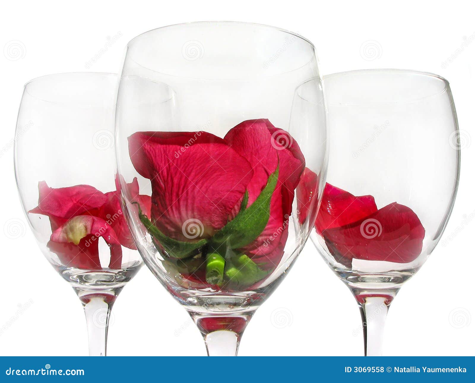 Copa Con La Flor Color De Rosa Foto de archivo - Imagen de alcohol ...