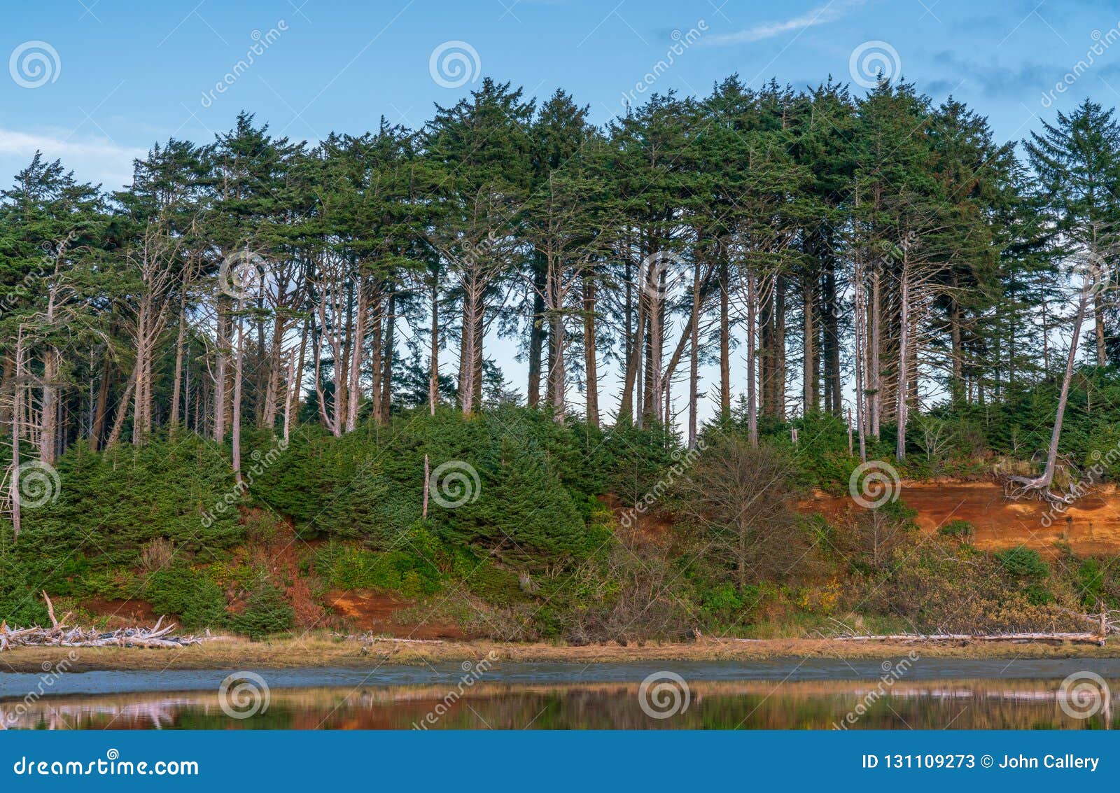 Copalis River in Autumn stock image. Image of cloud - 131109273