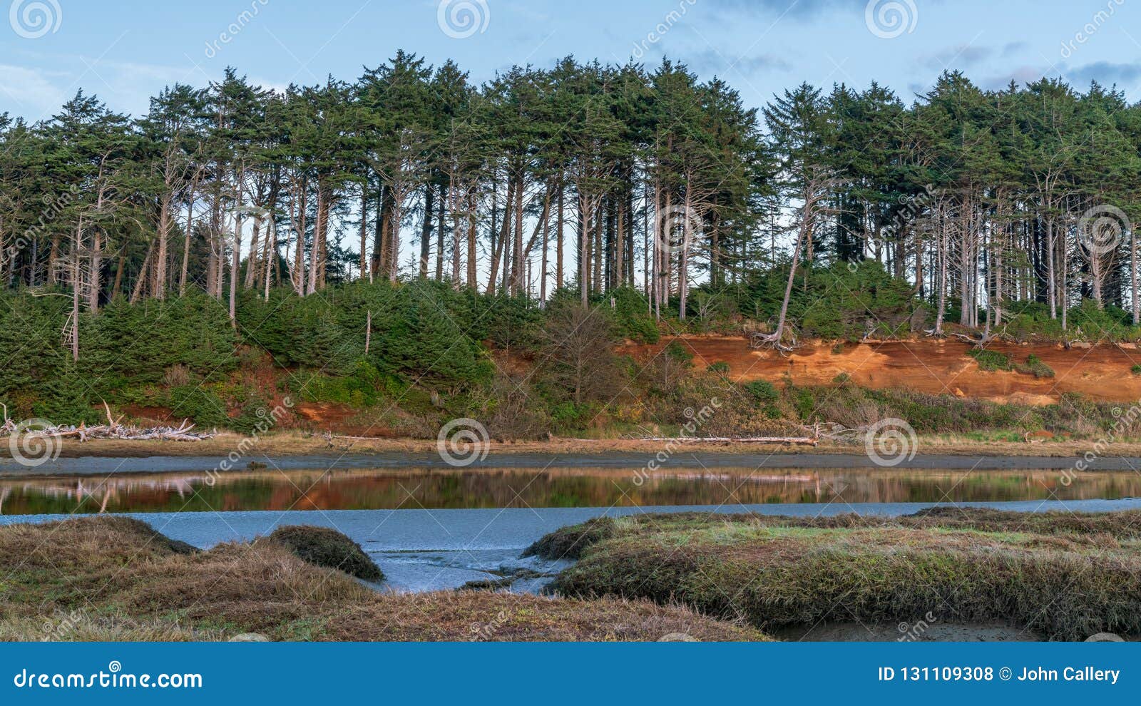 Copalis River in Autumn stock photo. Image of clouds - 131109308
