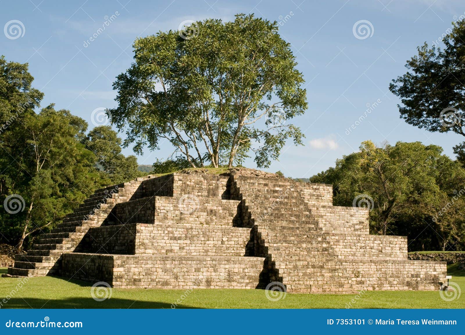 Copan - mayan pyramide stock image. Image of destroyed - 7353101