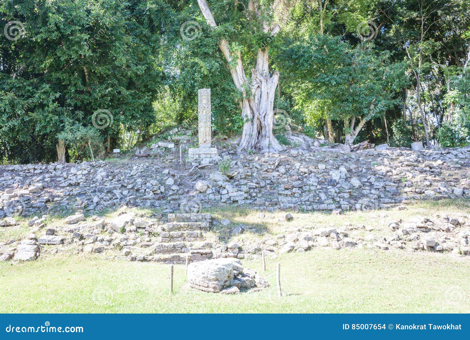 Copan Ruinas stock photo. Image of maya, ancient, central - 85007654