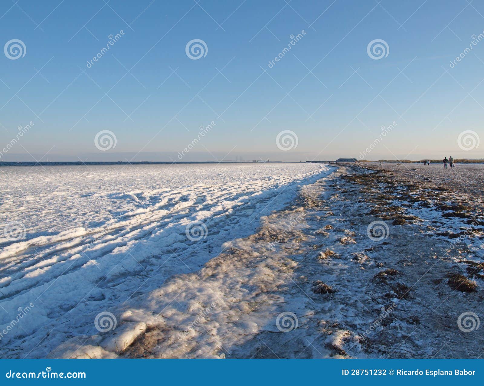 Copenhagen beach stock photo. Image of winter, denmark - 28751232