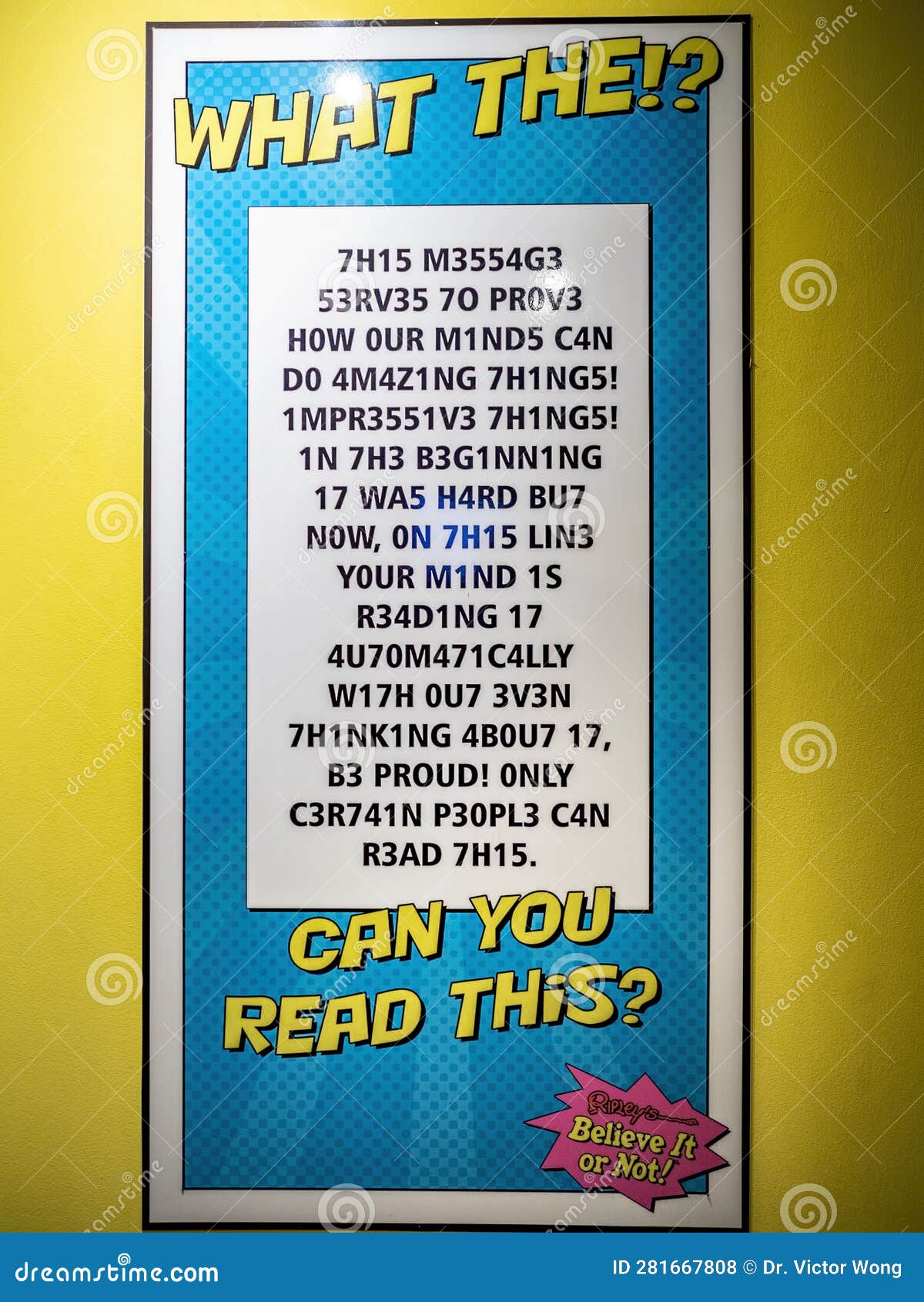 Wall Chart With A Series Of Optical Illusion Diagrams Challenging The ...