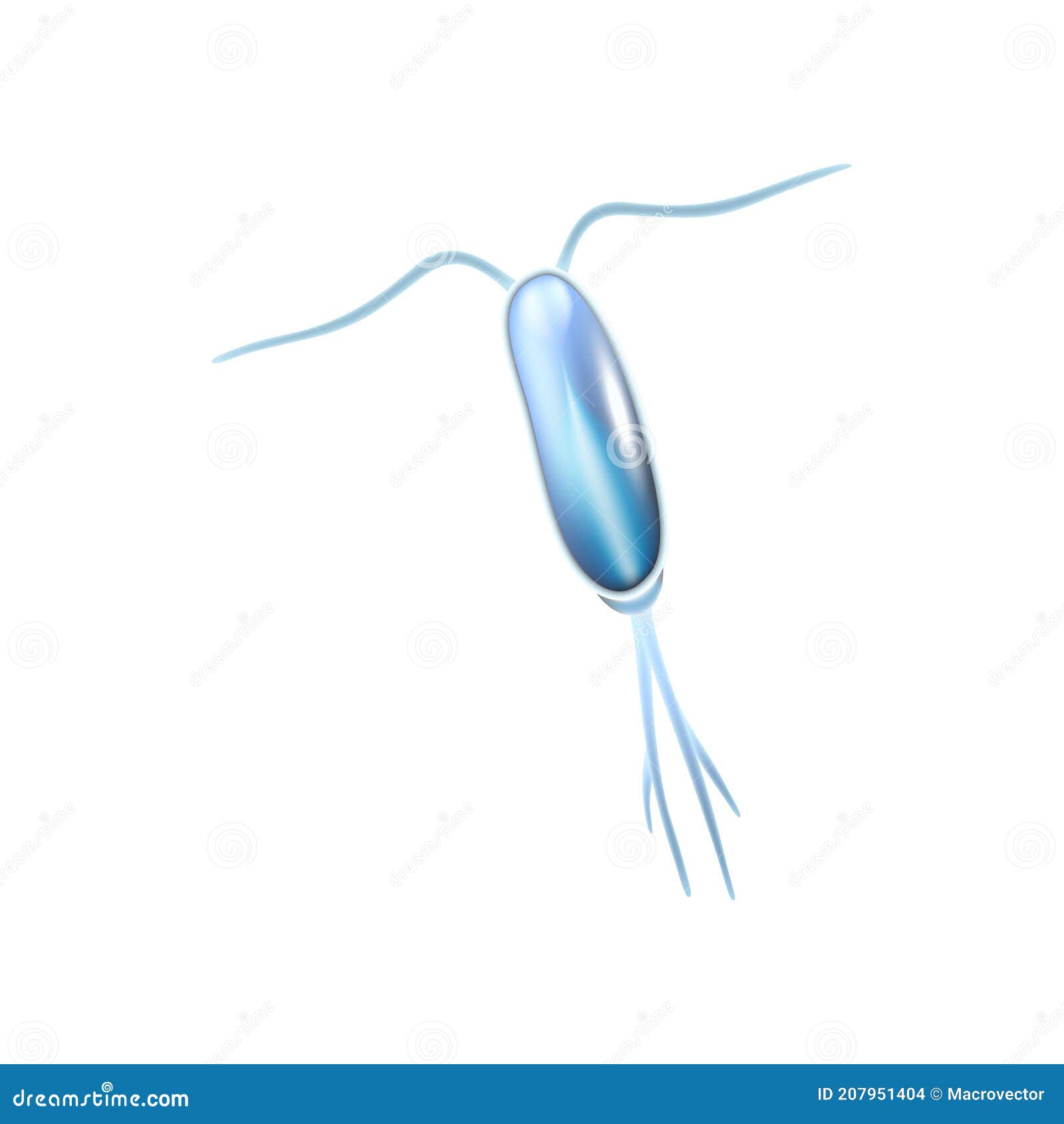 Copepod Plankton Icon stock illustration. Illustration of artemia ...
