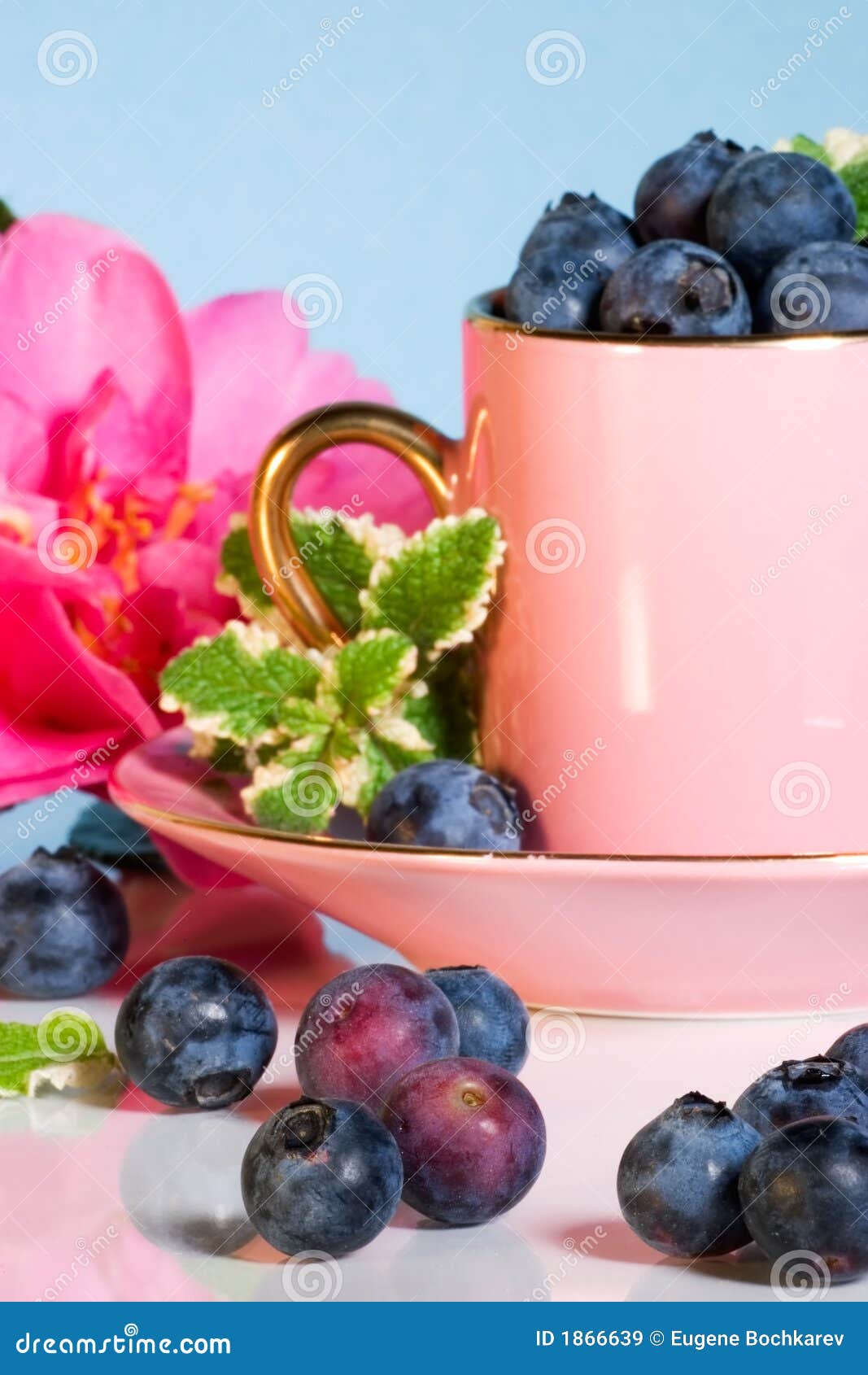 Copo De Café Enchido Com Uvas-do-monte Imagem de Stock - Imagem de ...