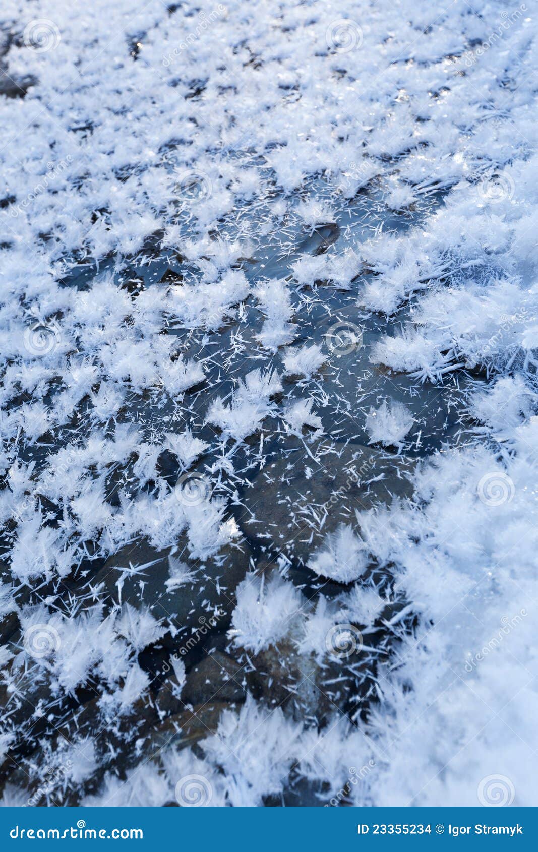 Copos de nieve helados foto de archivo. Imagen de asoleado - 23355234