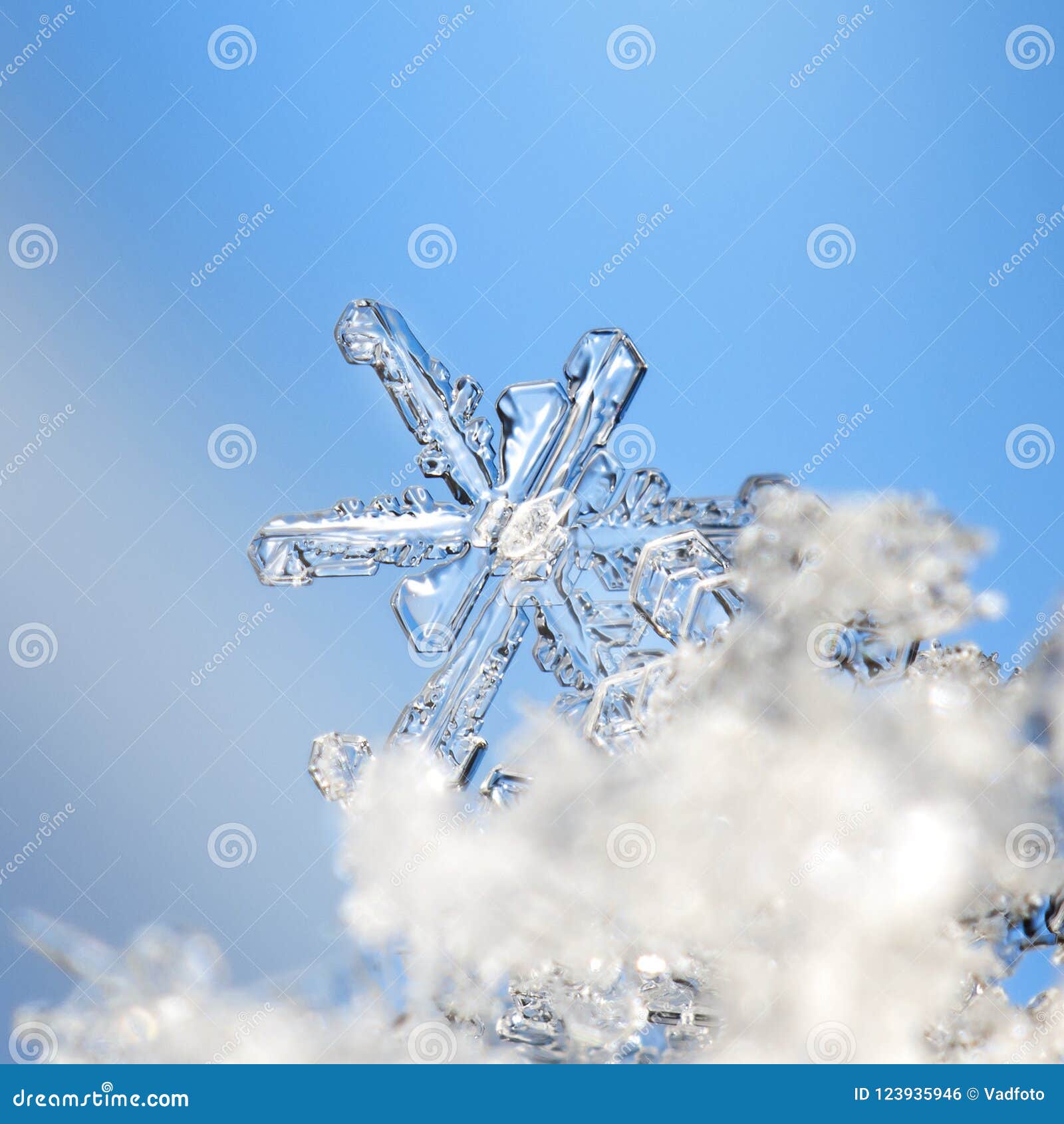 Copos De Nieve Naturales En La Nieve, Nieve Foto de archivo - Imagen de ...