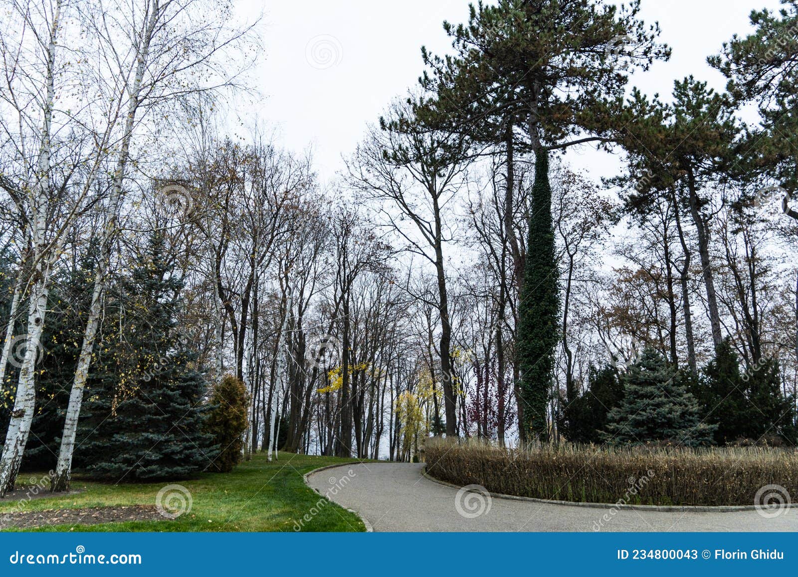 Copou Park, Vaslui City, Romania Stock Image - Image of city, vaslui ...